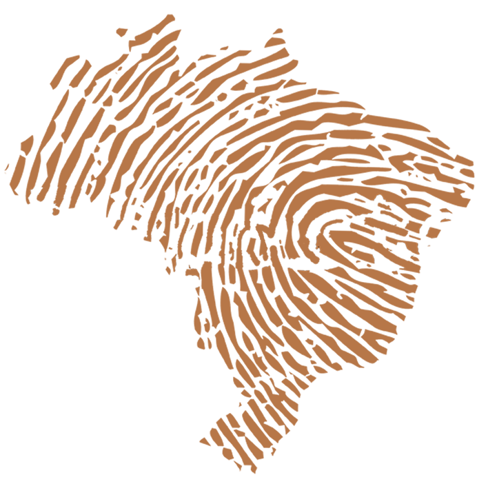 A Repórter Brasil em 2020